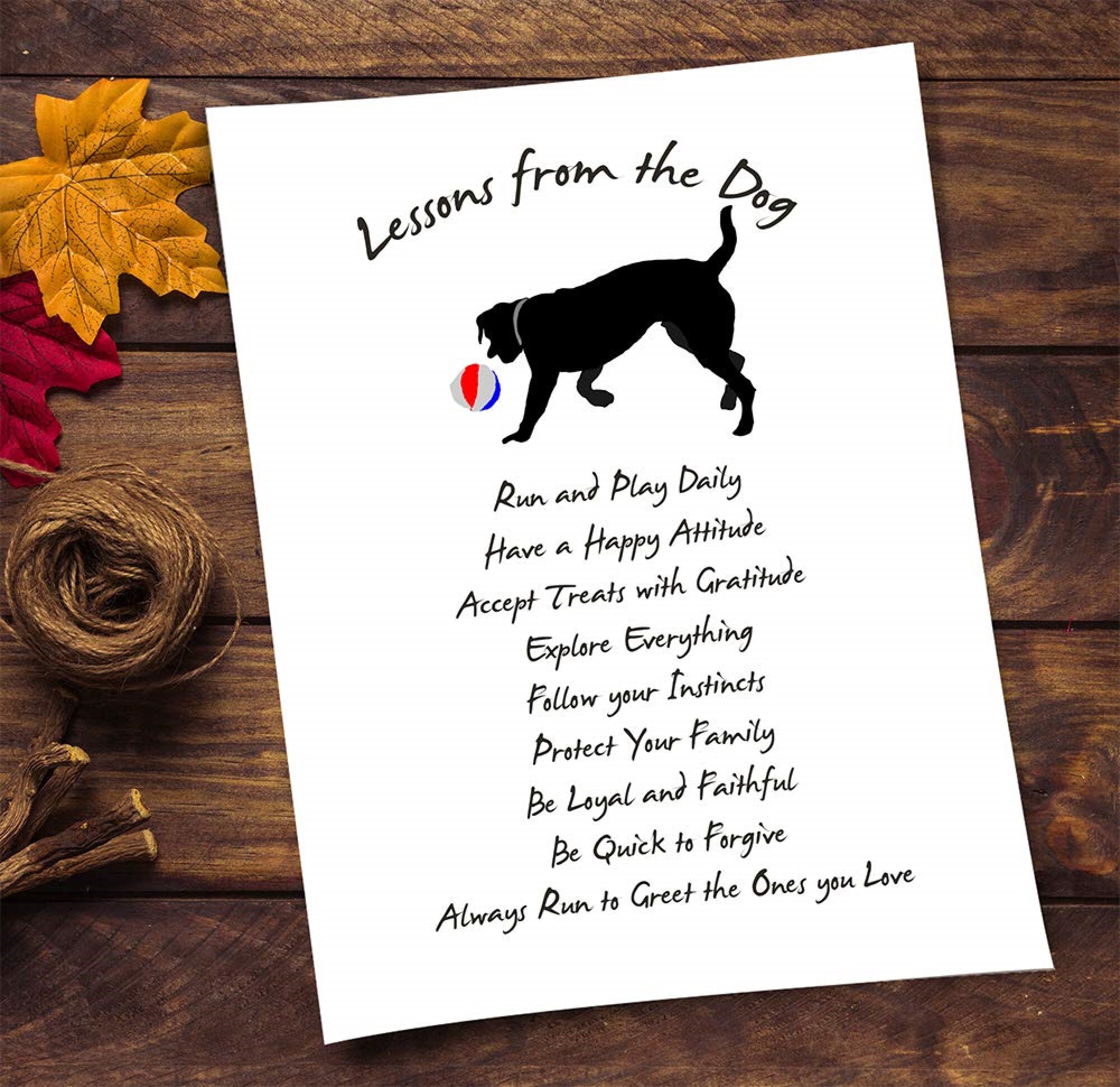 Lessons From A Dog dog Quote Print dog Sayings life Lessons - Etsy
