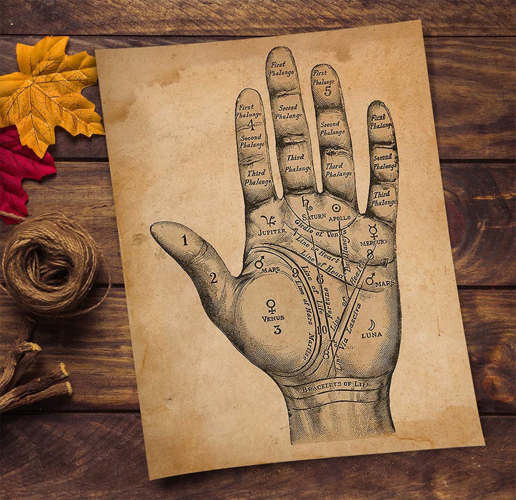 Palmistry Hand Palmistry Print Palm Reading Fortune - Etsy Denmark