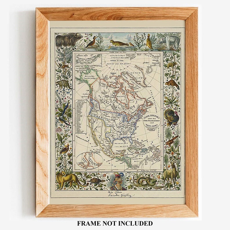 North America Map USA Map Art NA Poster Map America | Etsy