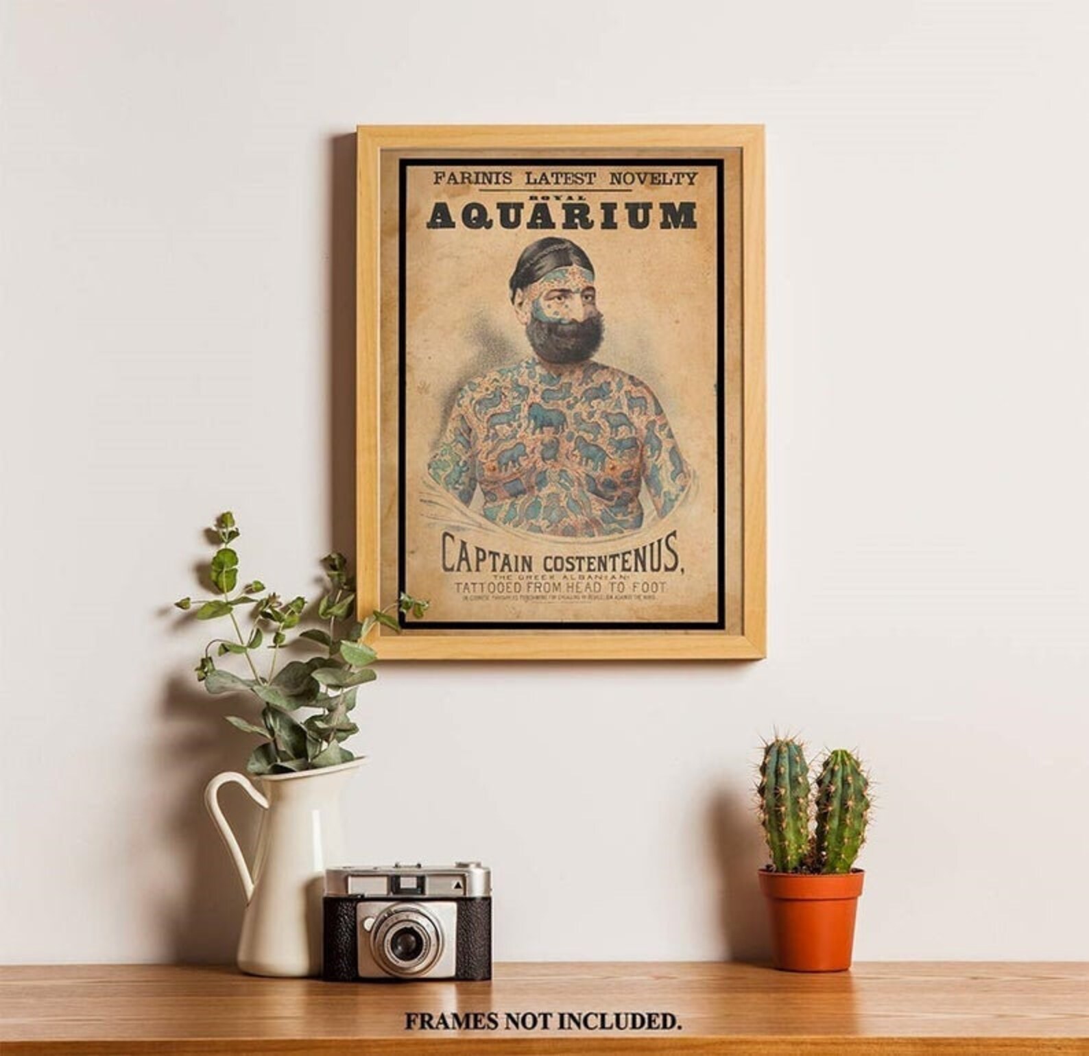 Captain Costentenus freak Show Poster circus Poster tattoo - Etsy
