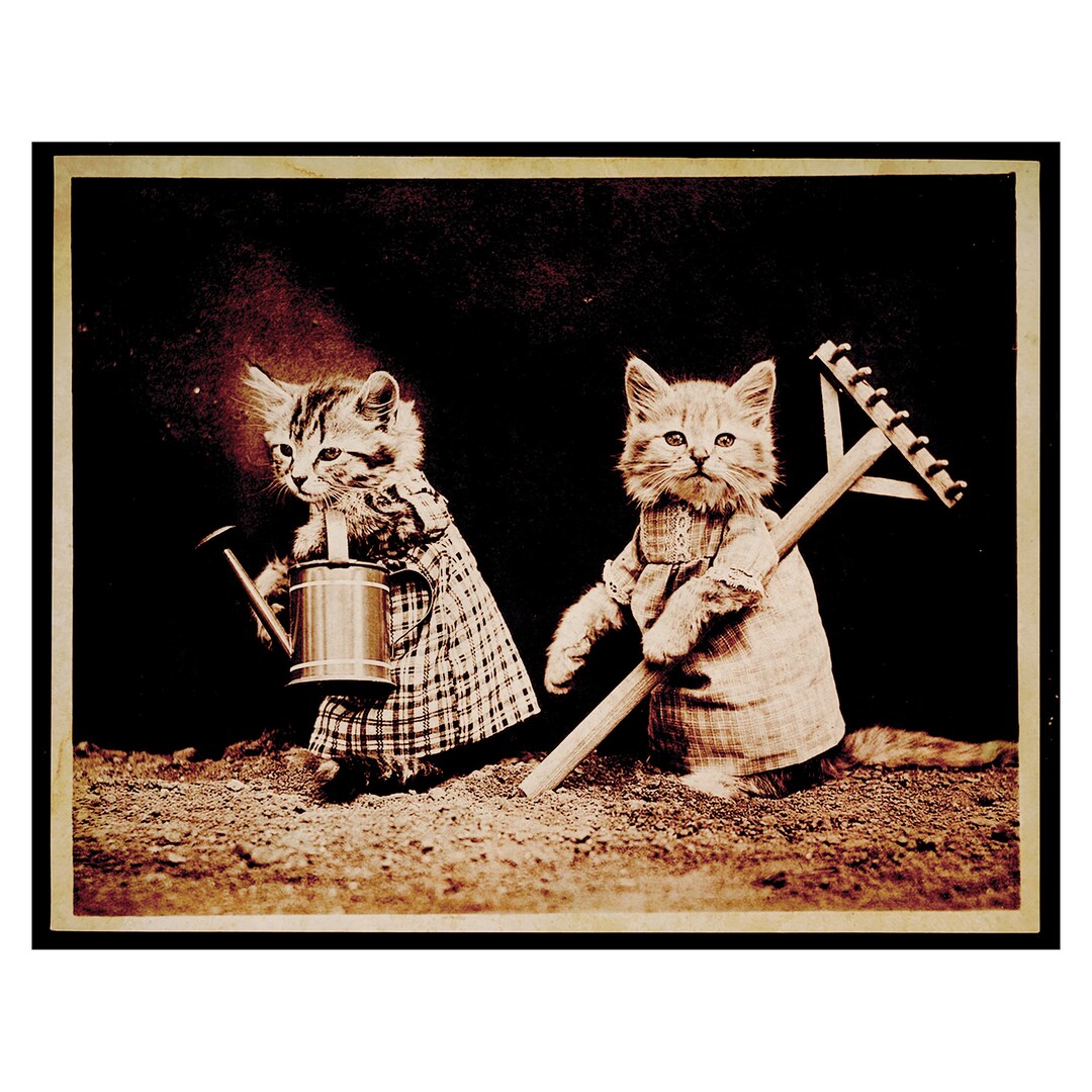 Two Cats Art Print Vintage Cat Poster Cute Cat Poster Feline Wall Art ...