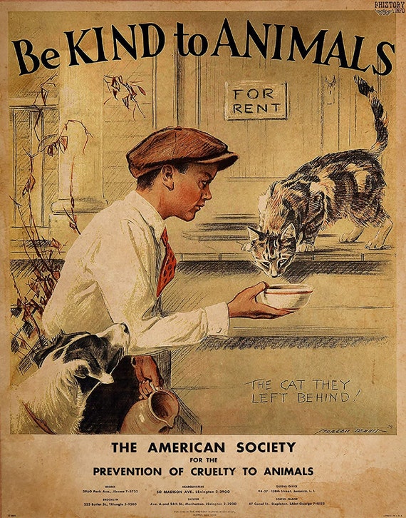 Animal Rights Poster