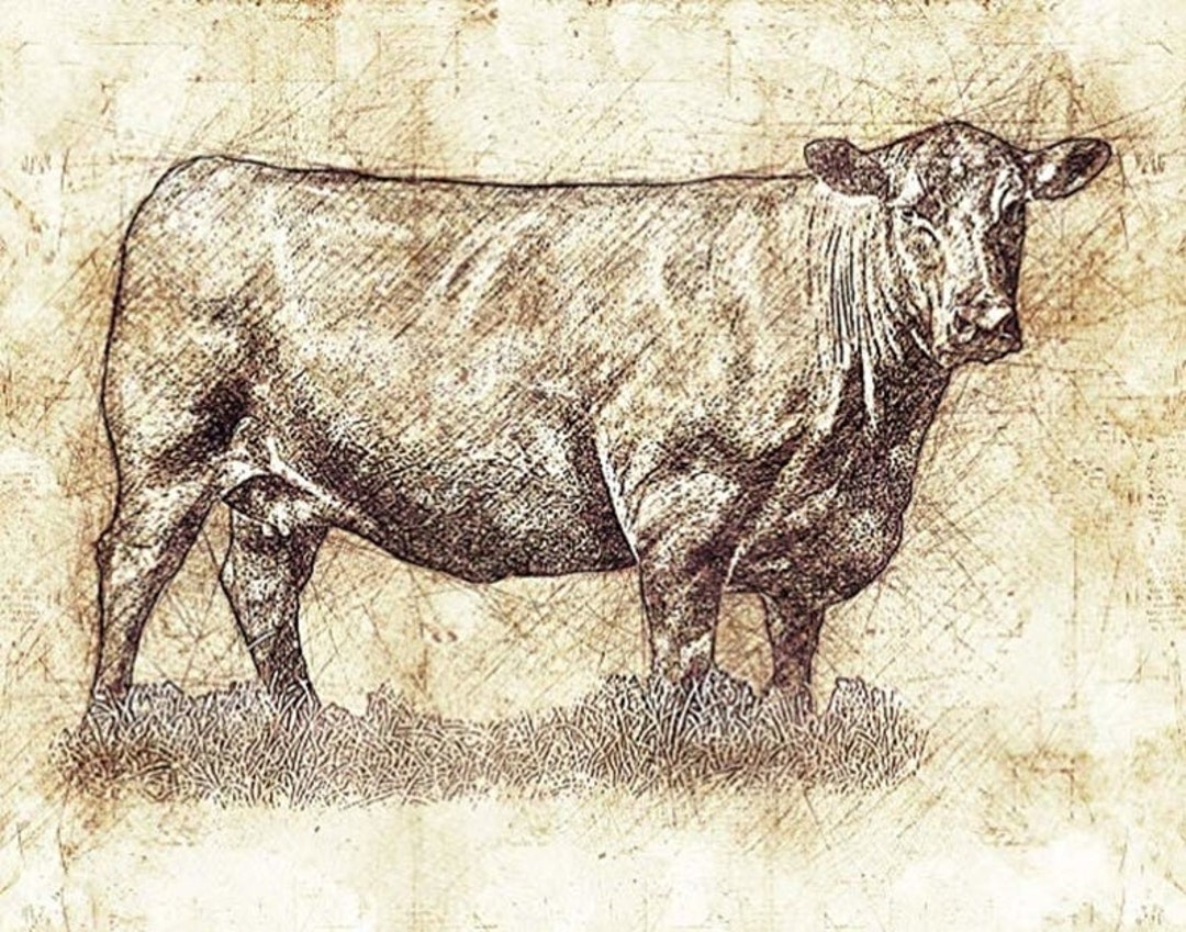 Cow Art Print cow Wall Art farm Animal Print cow Wall Print angus ...