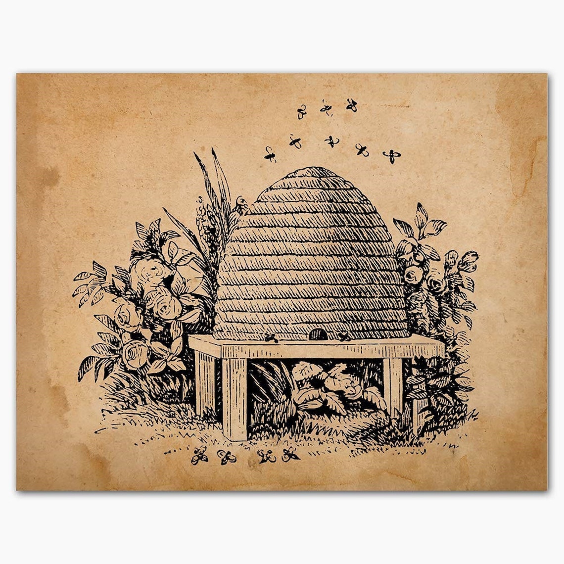 Vintage Beehive Beehive Art Beehive Print Apiary | Etsy
