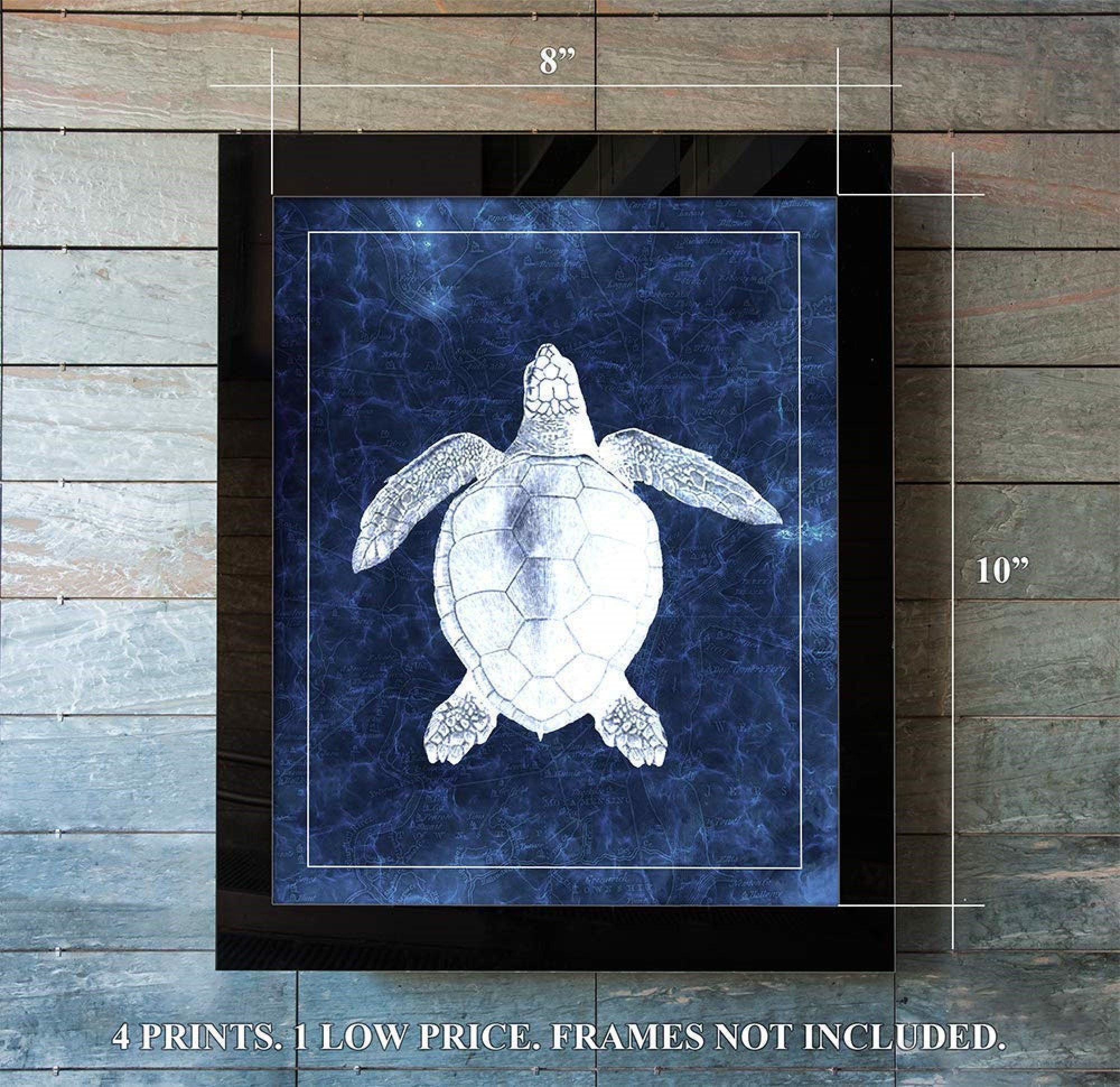 Sea Turtle Poster Crab Poster Starfish Poster Sea Horse | Etsy