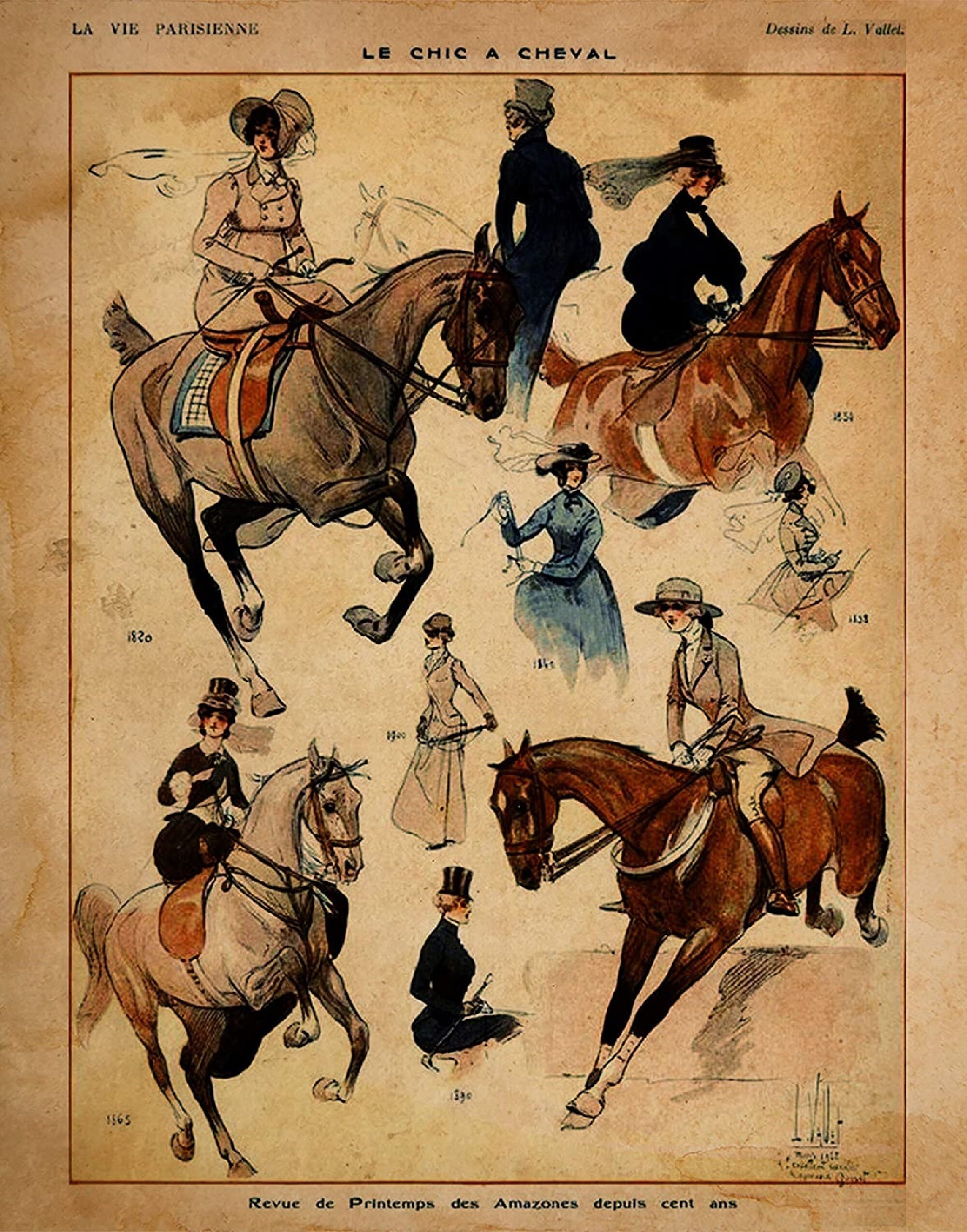 Equestrian Decor Horseback Riding Horse Riding Art Horse | Etsy