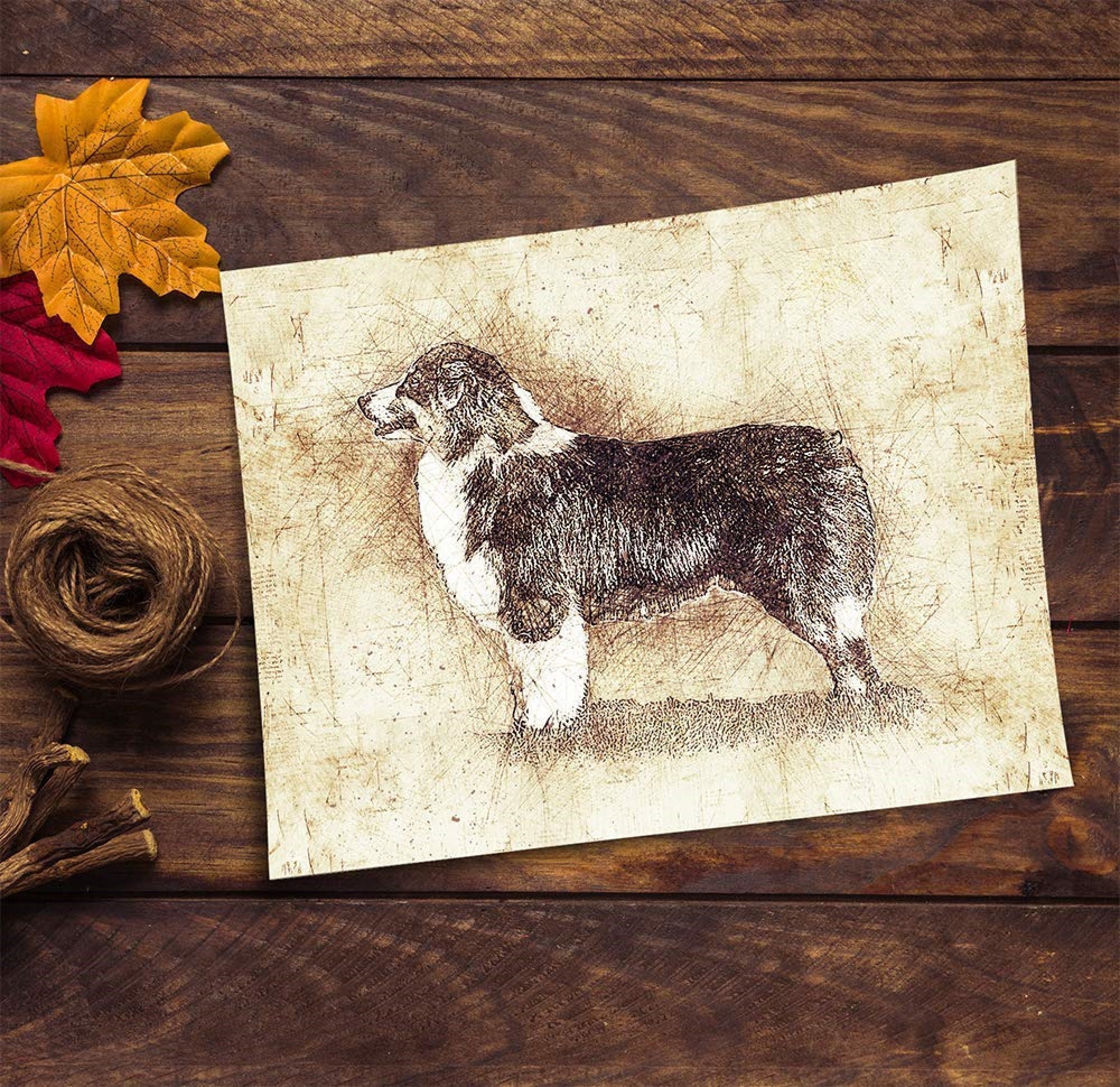 Australian Shepherd Aussie Dog Art Dog Sketch Art Dog Drawing Print Dog ...