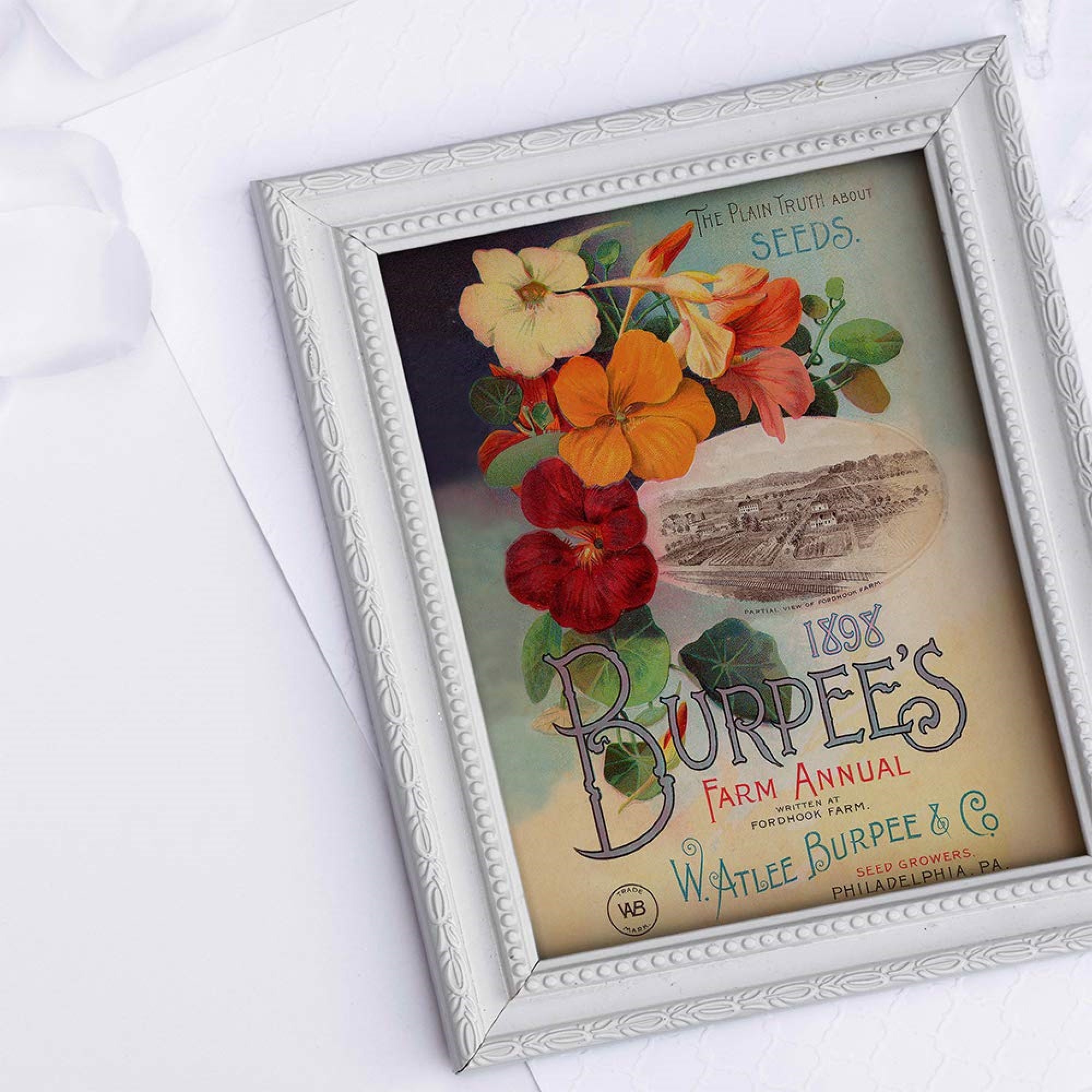 Vintage Seed Catalog Burpees Seeds Burpees Poster Burpee Seeds Print ...