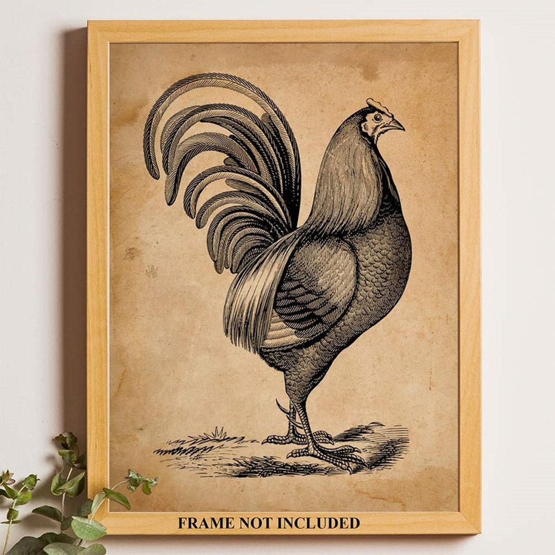 Rooster Poster Rooster Drawing Chicken Artwork Rooster | Etsy