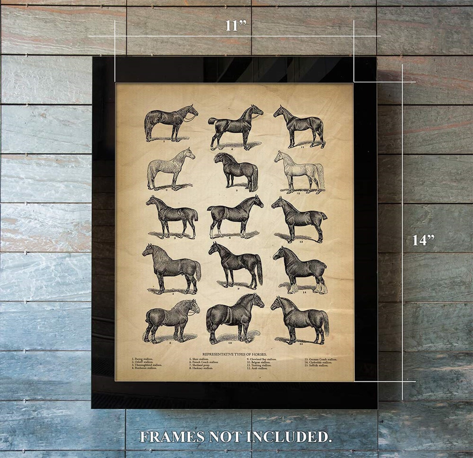 Horse Poster Equestrian Decor Vintage Horse Poster - Etsy.de