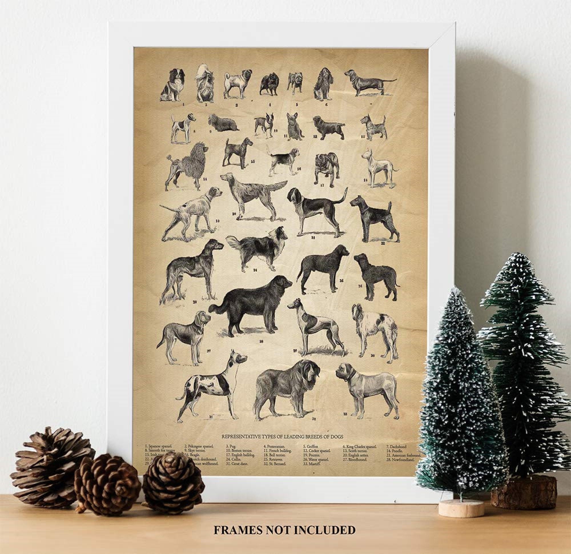 Dog Breeds Poster Canine Design Dog Types Dog Sketch Art - Etsy