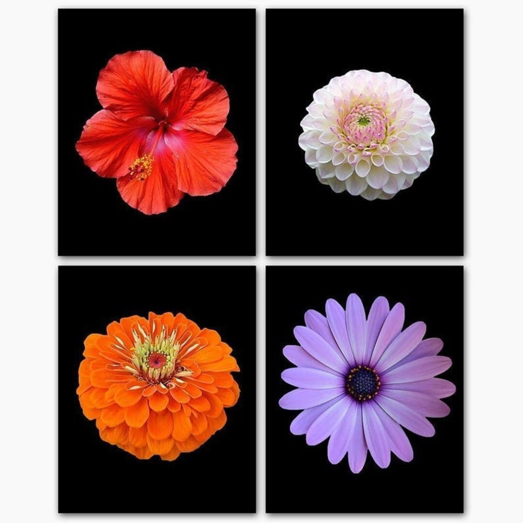 Floral Wall Art Set Simple Flower Print Flowers Minimal Art Flower ...
