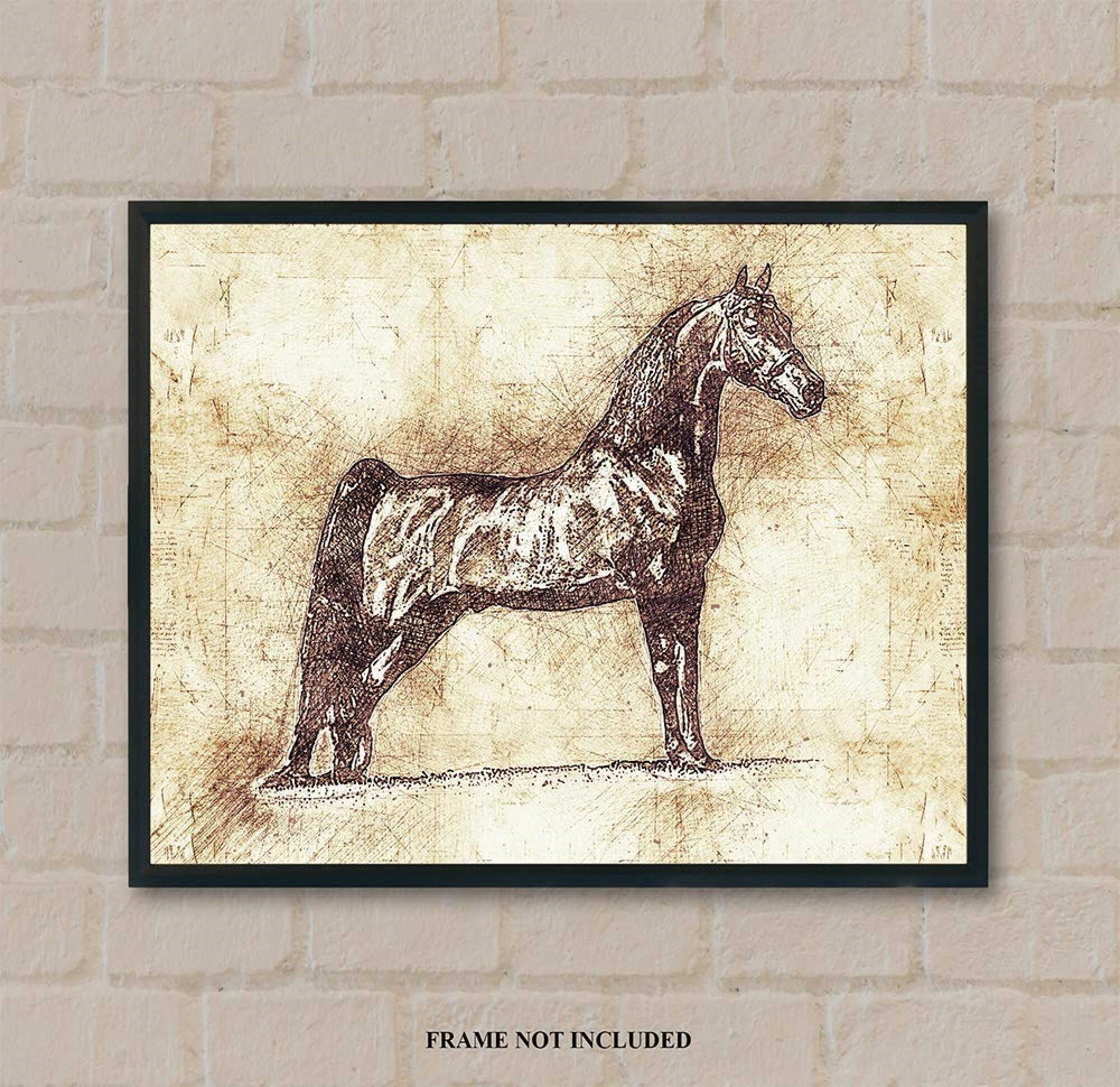 Morgan Horse Print Horse Breed Horse Sketch Art Horse - Etsy