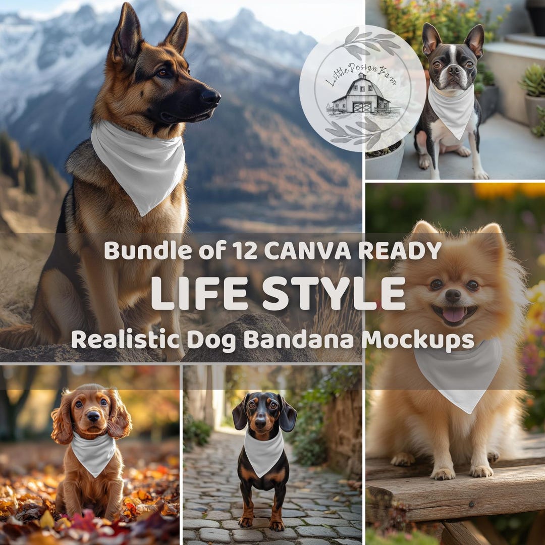Dog Bandana Mockup Bundle: Canva Ready, 12 Templates (digital Download ...