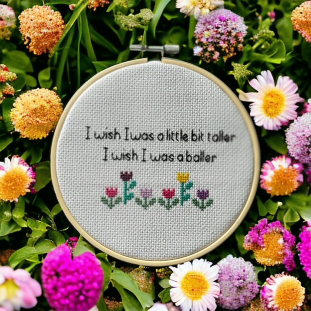I Wish I Was a Little Bit Taller I Wish I Was a Baller Cross Stitch ...