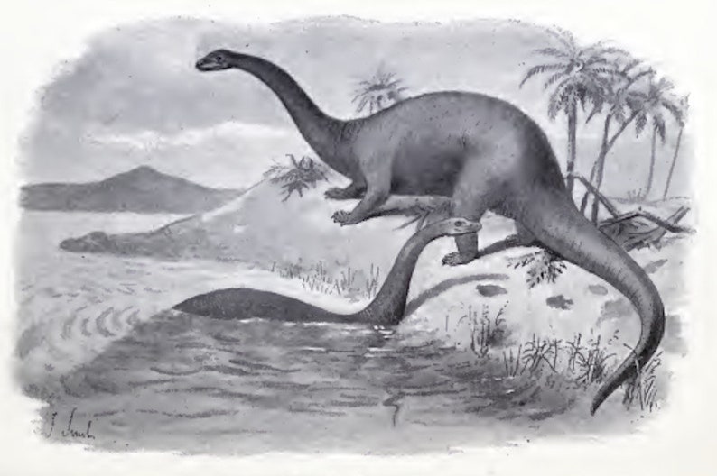 Collection of Small Vintage Black and White Extinct Dinosaur Drawings ...