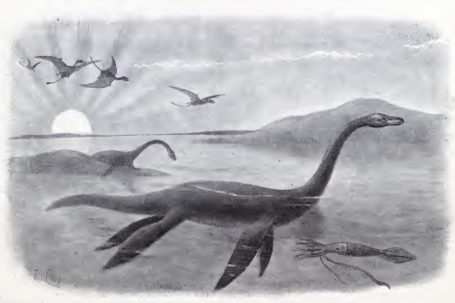 Collection of Small Vintage Black and White Extinct Dinosaur Drawings ...