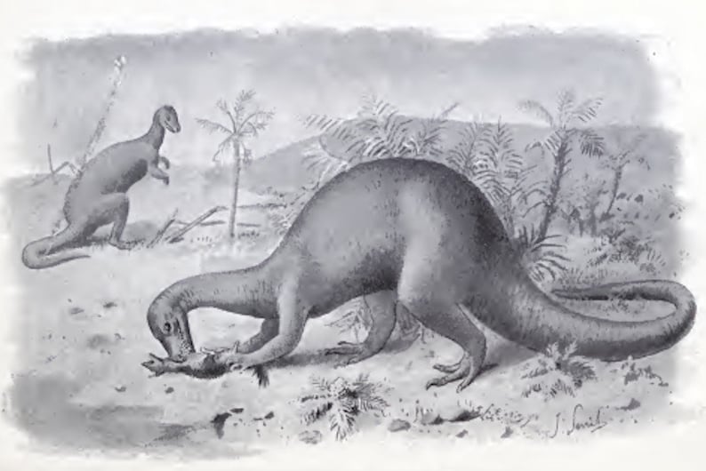 Collection of Small Vintage Black and White Extinct Dinosaur Drawings ...