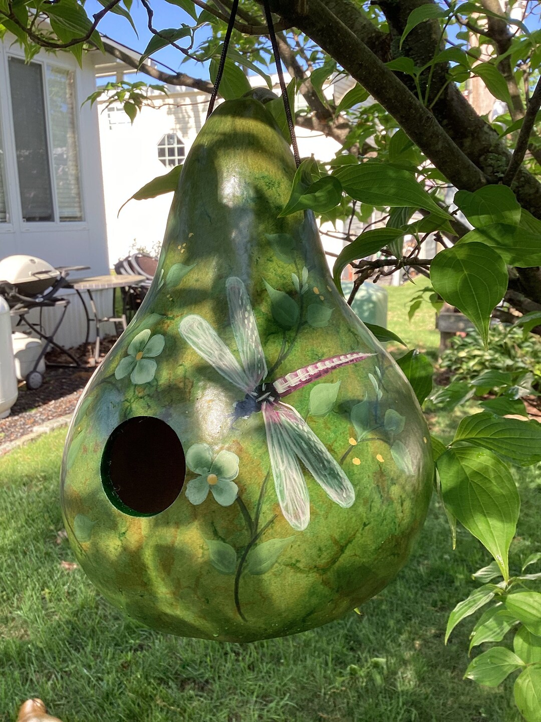 Hand Painted Gourd Birdhouse With a Dragonfly - Etsy
