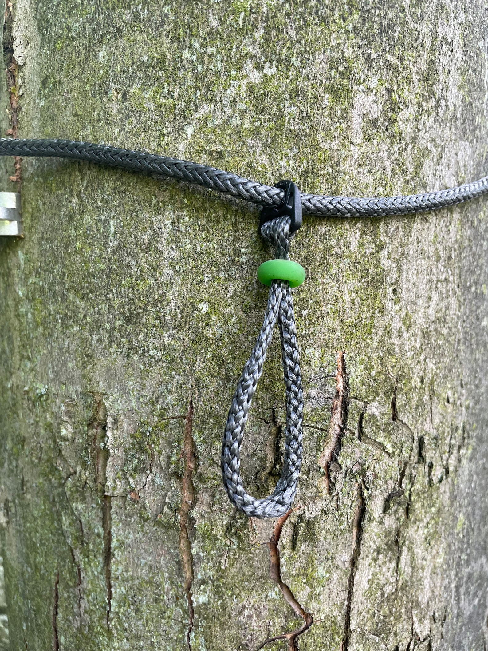 Amsteel Beast Tender - Etsy