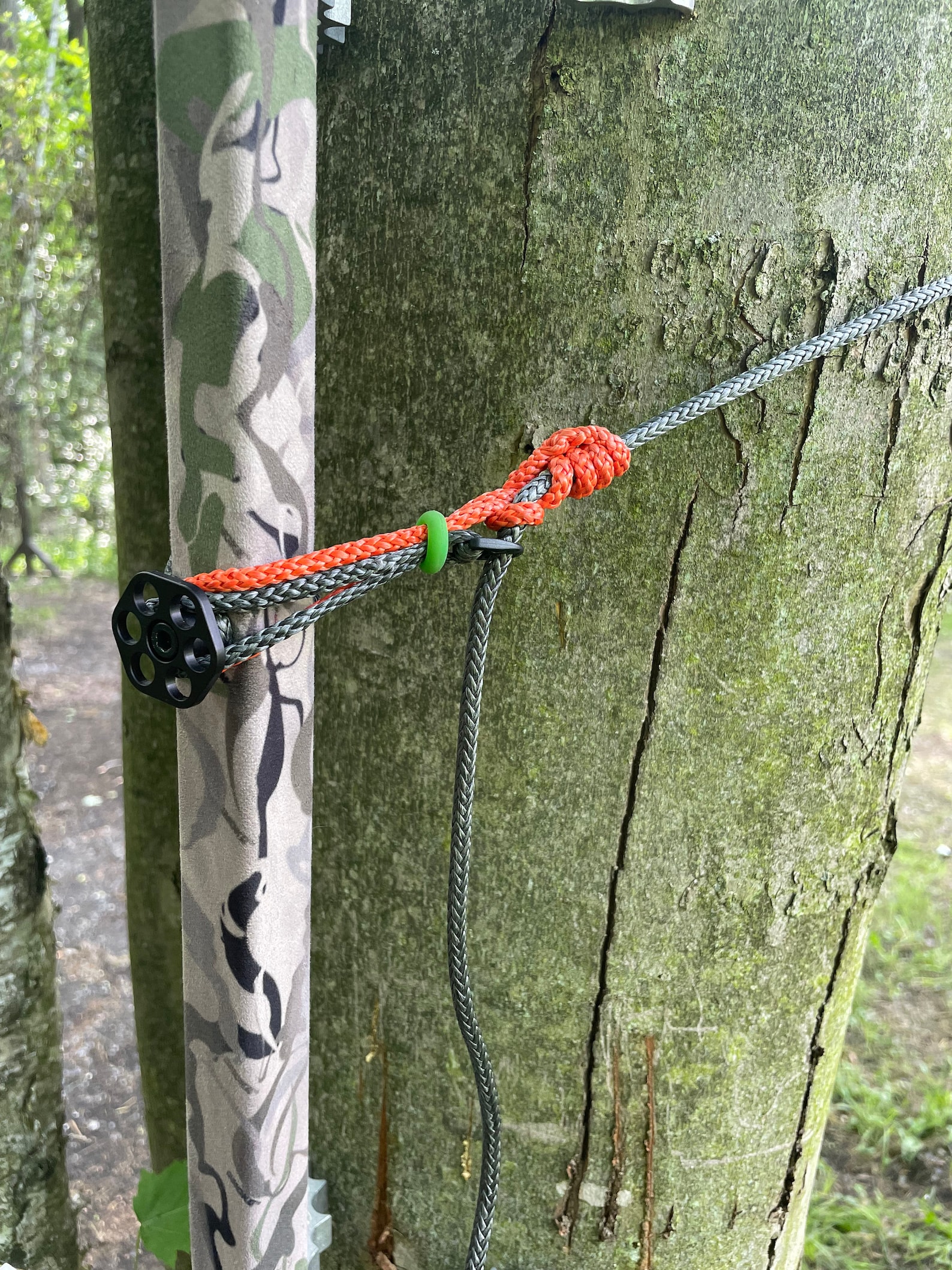 Amsteel Beast Tender - Etsy