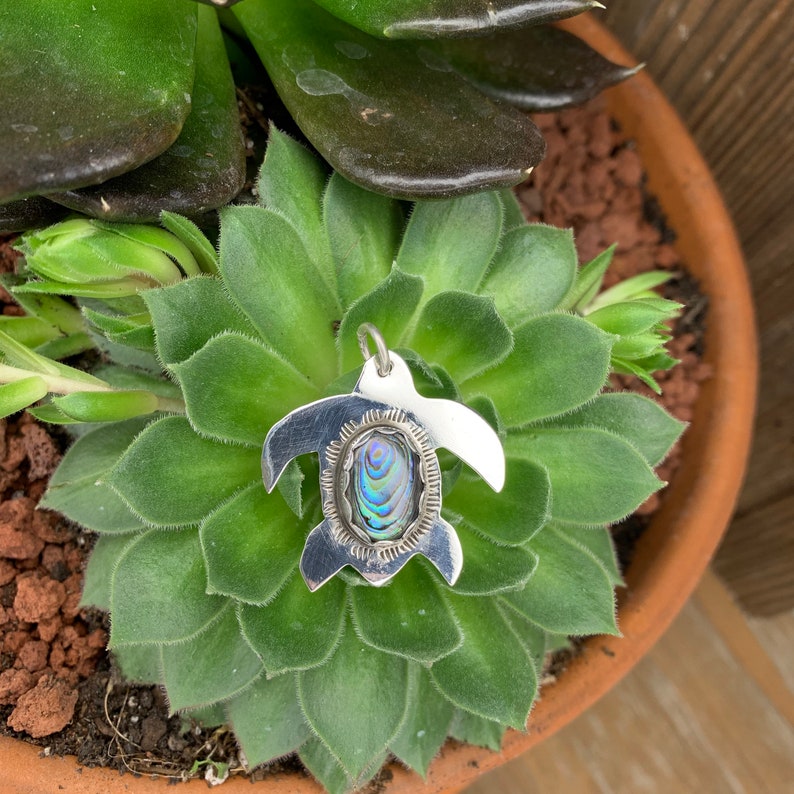 Lightweight Paula Shell Sea Turtle Pendant With 18 Inch 1.45 Beveled ...