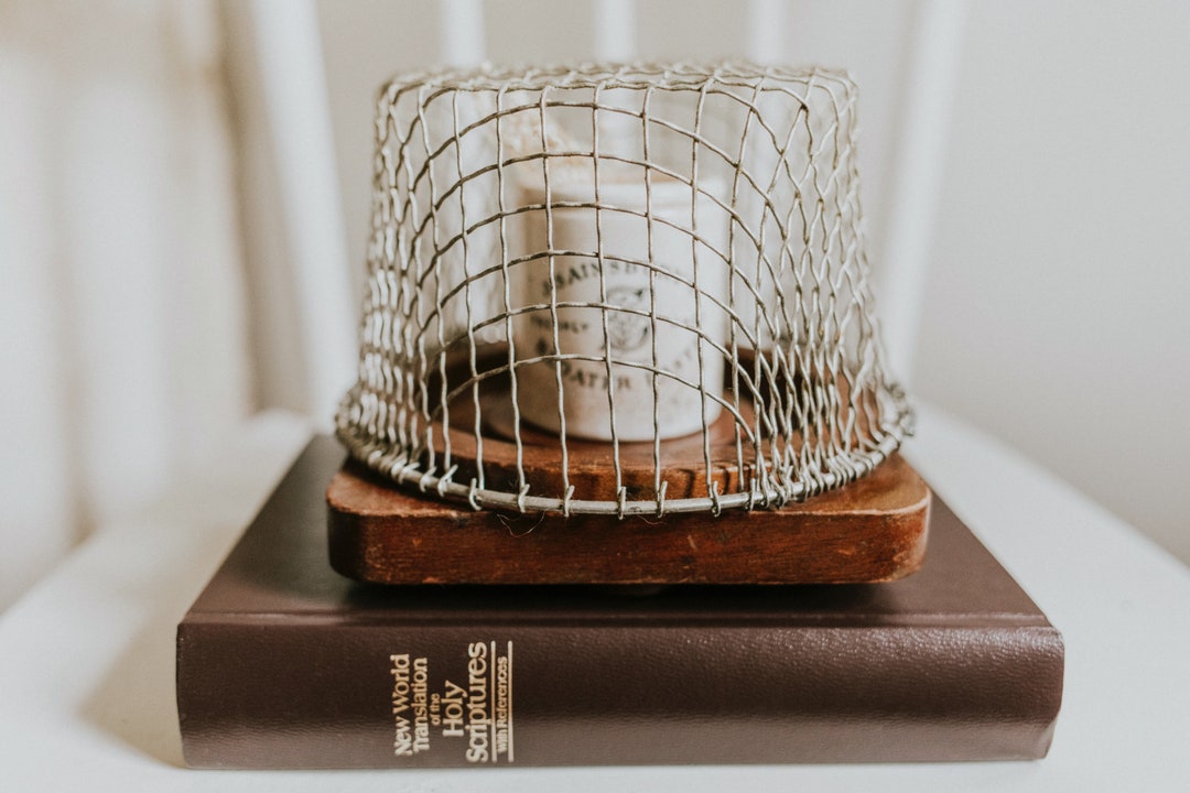 Vintage Mesh Dome Wire Cloche and Repurposed Wood Foundry Mold Base ...