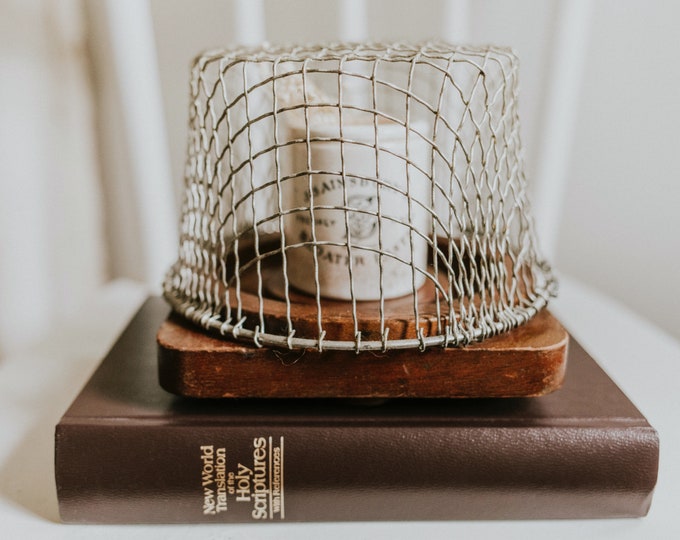 Vintage Mesh Dome Wire Cloche and Repurposed Wood Foundry Mold Base ...