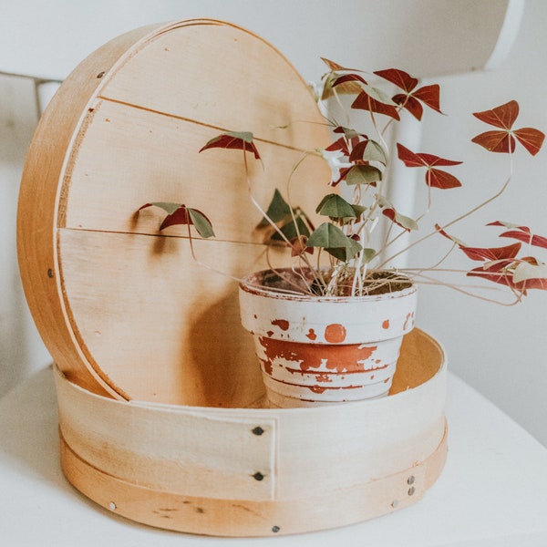 Round Cheese Box - Etsy