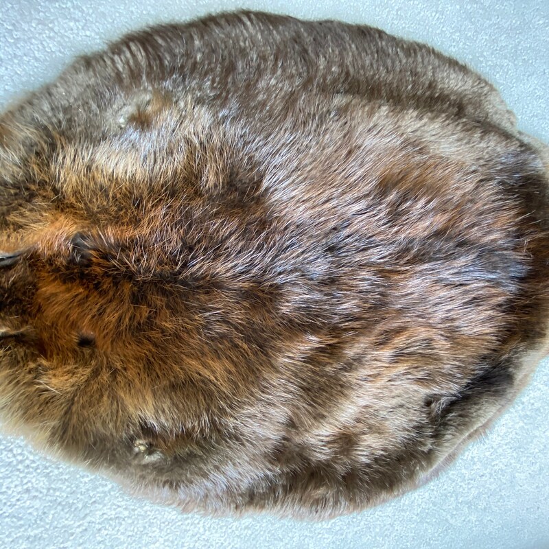 Beaver Pelt - Etsy