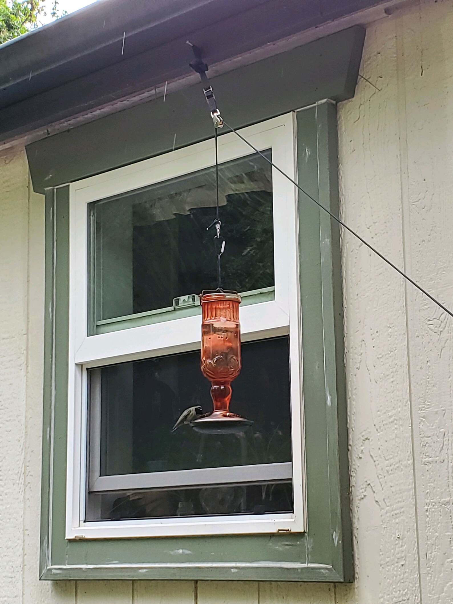 Out on a Limb Lowering and Raising Pulley System for Bird | Etsy