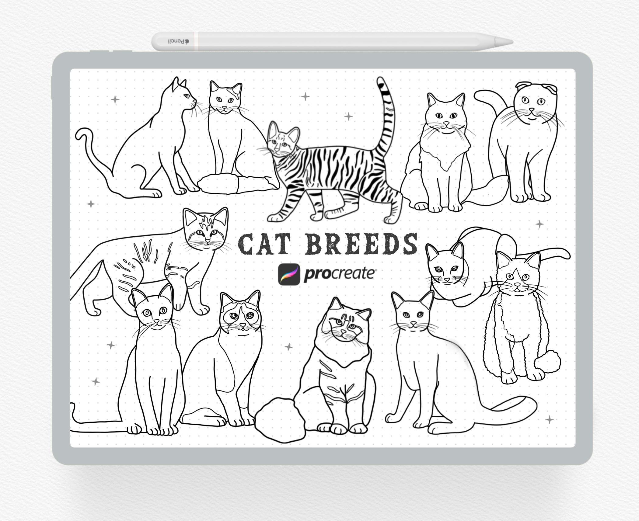 Procreate Stamps, 50 Cat Breeds Procreate Stamp, Unique Cats Brush, Cat ...
