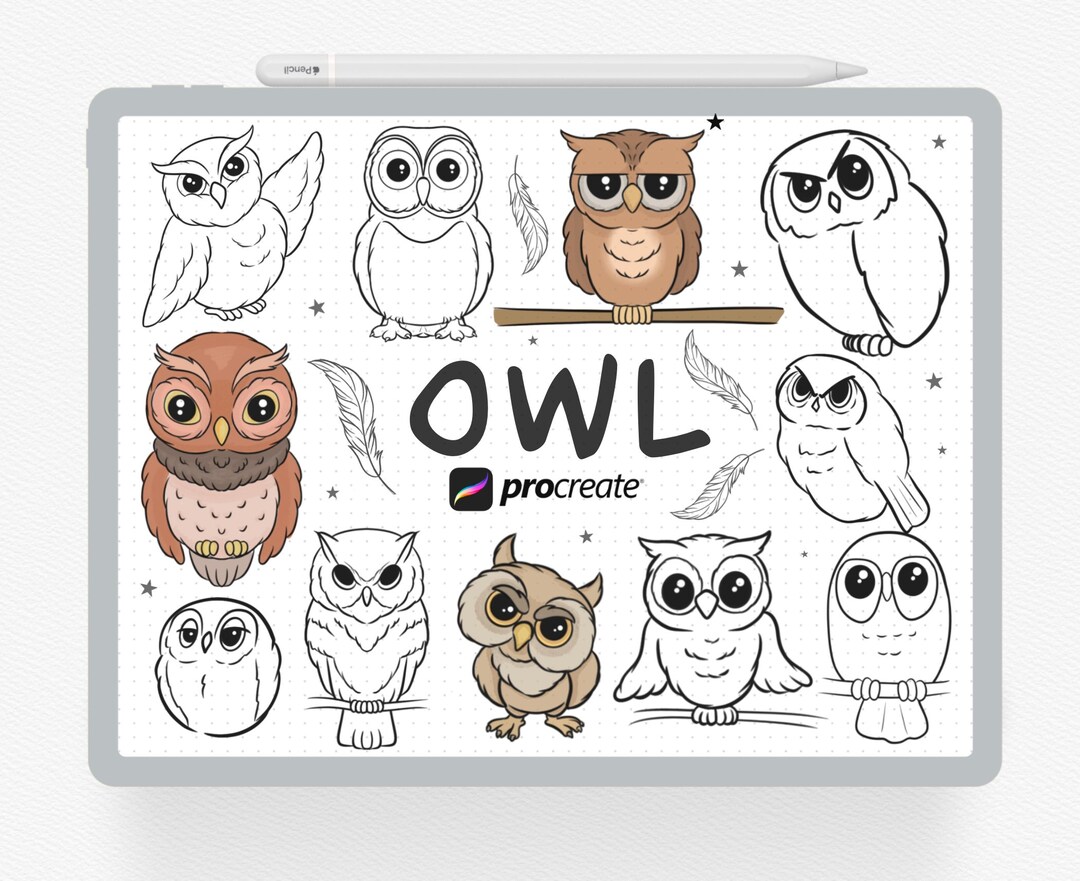 Procreate Stamp, 20 Owl Procreate Brush, Bird Animal Brush Stamps ...