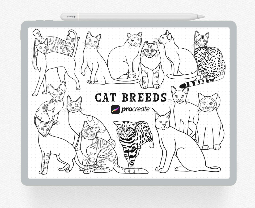 Procreate Stamps, 50 Cat Breeds Procreate Stamp, Unique Cats Brush, Cat ...
