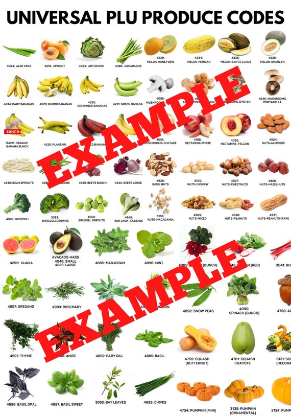 Universal PLU Produce Codes Cashiers Guide For Grocery Etsy Canada Universal PLU Produce Codes Cashiers Guide For Grocery Etsy Canada