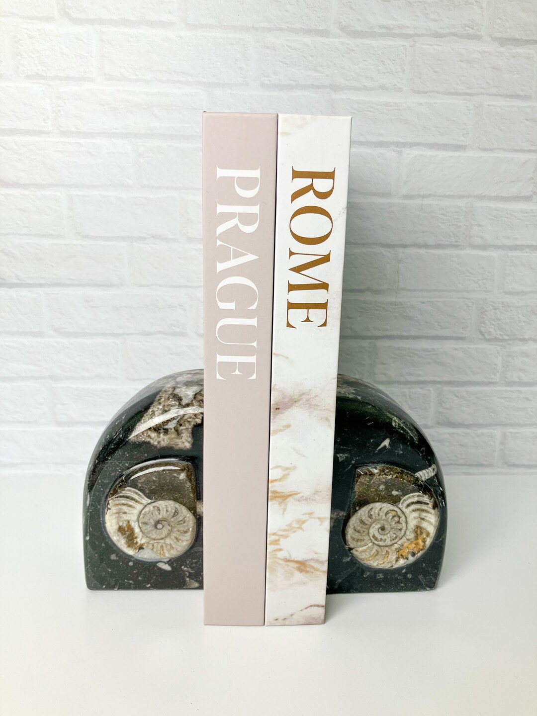 C7 2pc Morcco Orthoceras Fossil Bookends - Etsy