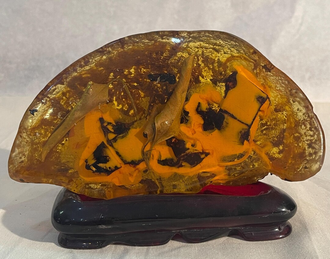 Amber Containing Inclusions and Animals, Collector's Item, 20th Century ...