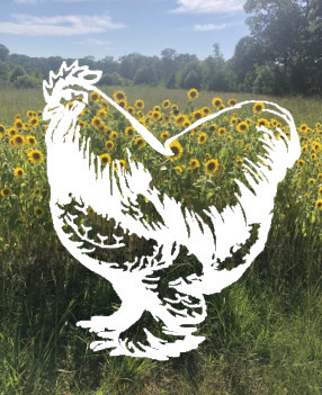 Chicken Svg Png - Etsy