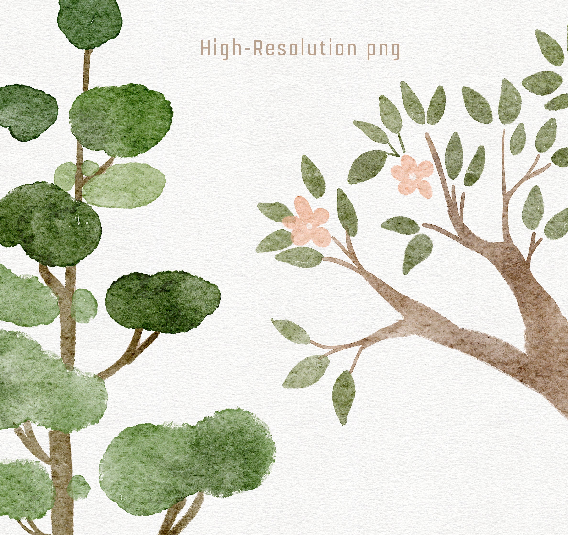 Watercolor Woodland Trees Clipart Set, Png Hand Painted Tree ...