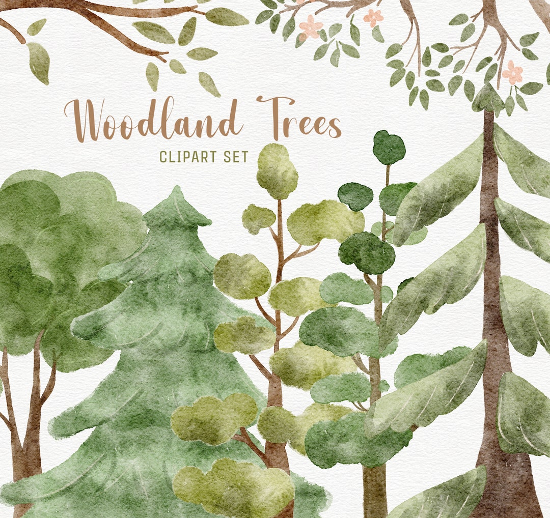 Watercolor Woodland Trees Clipart Set, Png - Hand Painted Tree ...