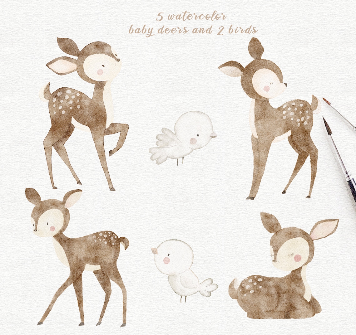 Baby Deer Watercolor Clipart Set 100 Png Hand Painted - Etsy