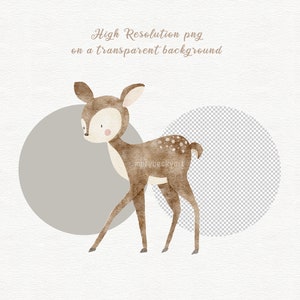 Baby Deer Watercolor Clipart Set 100 + Png - Hand Painted Animals ...