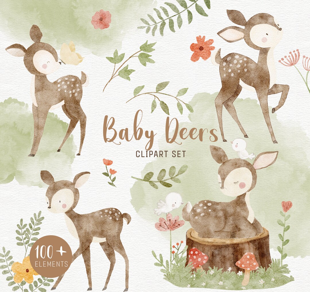 Baby Deer Watercolor Clipart Set 100 + Png - Hand Painted Animals ...