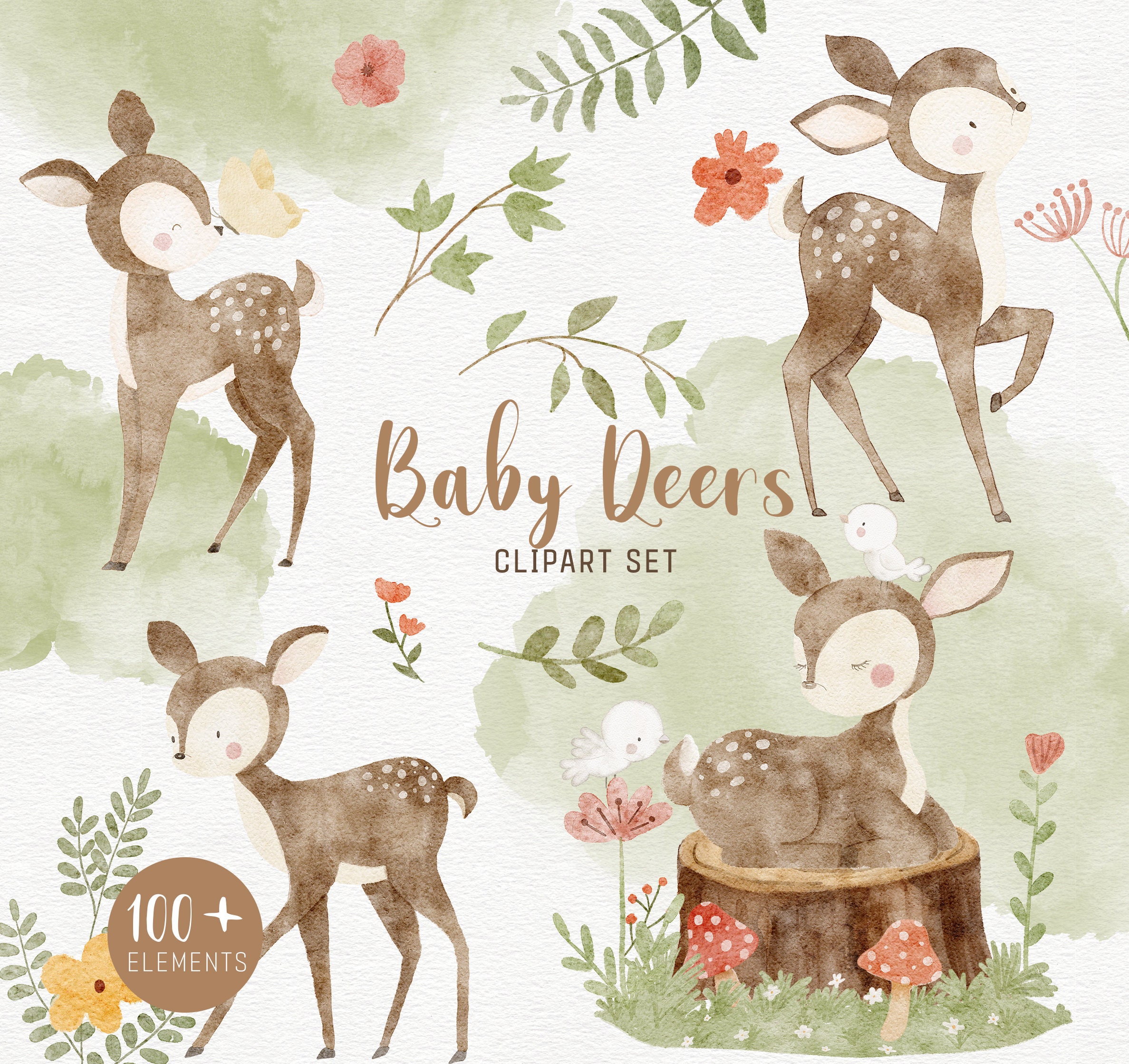 Baby Deer Watercolor Clipart Set 100 + Png - Hand Painted Animals ...