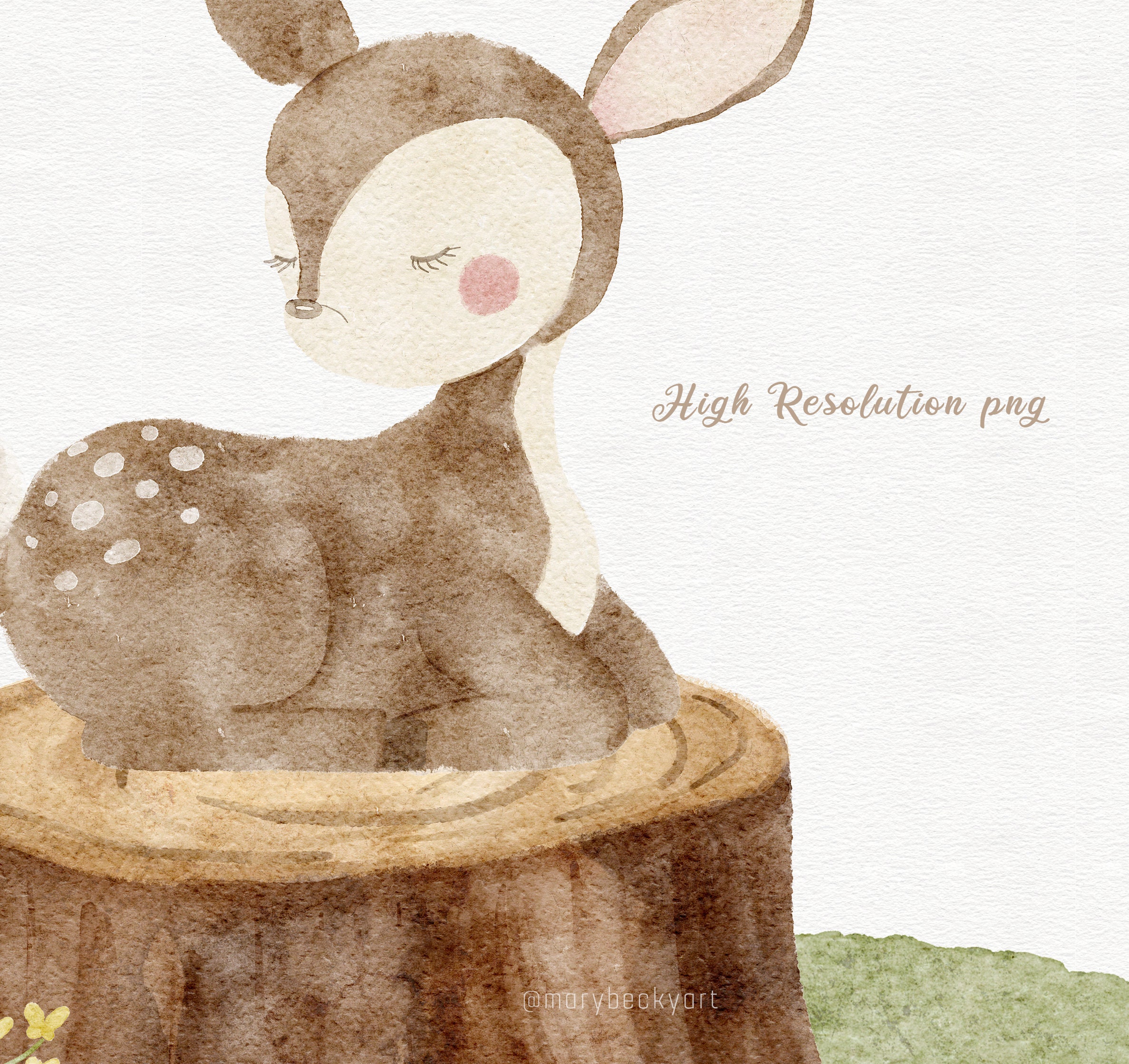 Baby Deer Watercolor Clipart Set 100 + Png - Hand Painted Animals ...