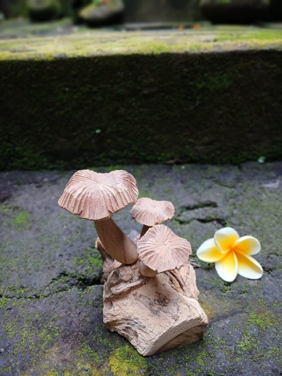 Mushroom, Wood Carving,hand Made - Etsy