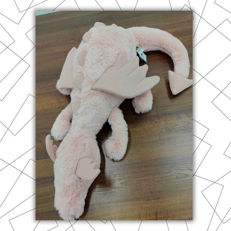 Dragon Jelly Cats - Etsy