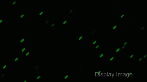 Animated Neon Glow Lines Background Green - Etsy