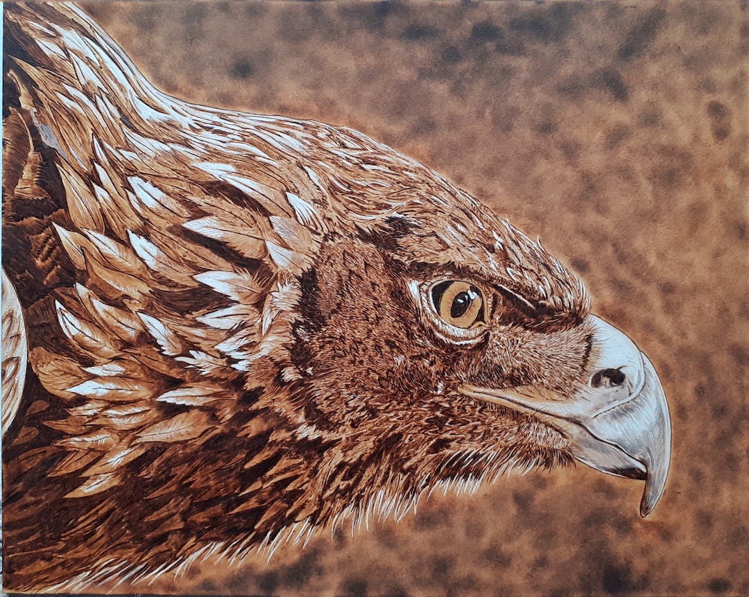 Eagle Pyrography Woodburning - Etsy