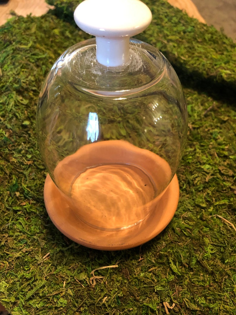 Glass Globe Cloche - Etsy